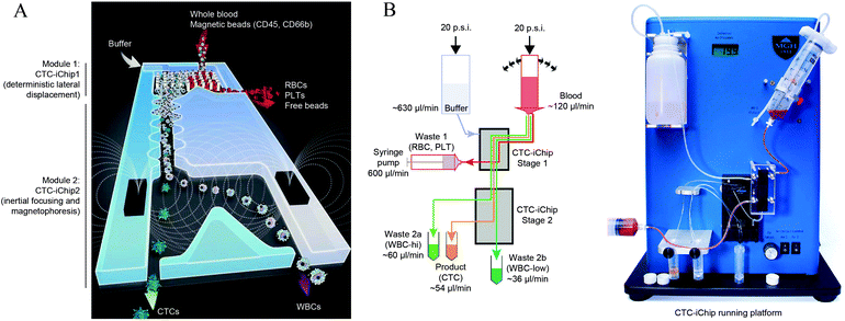 High spatial and temporal resolution cell manipulation techniques in ...