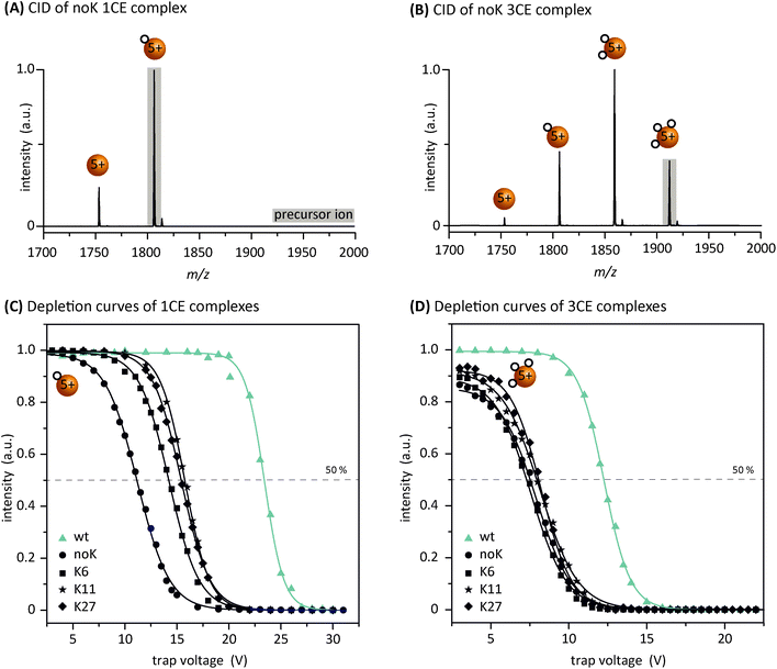 Gas-phase microsolvation of ubiquitin: investigation of crown ether ...