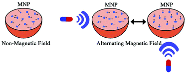Strategies for transporting nanoparticles across the blood–brain ...