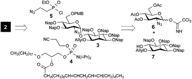 Synthesis of glycosylphosphatidylinositol (GPI)-anchor glycolipids ...