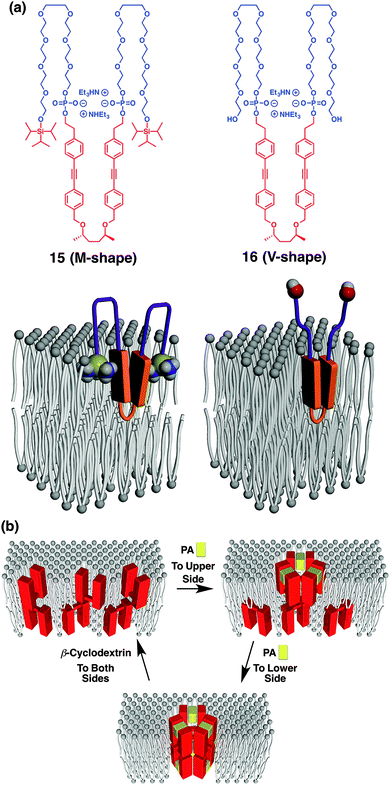 Bioinspired multi-block molecules - Chemical Communications (RSC ...