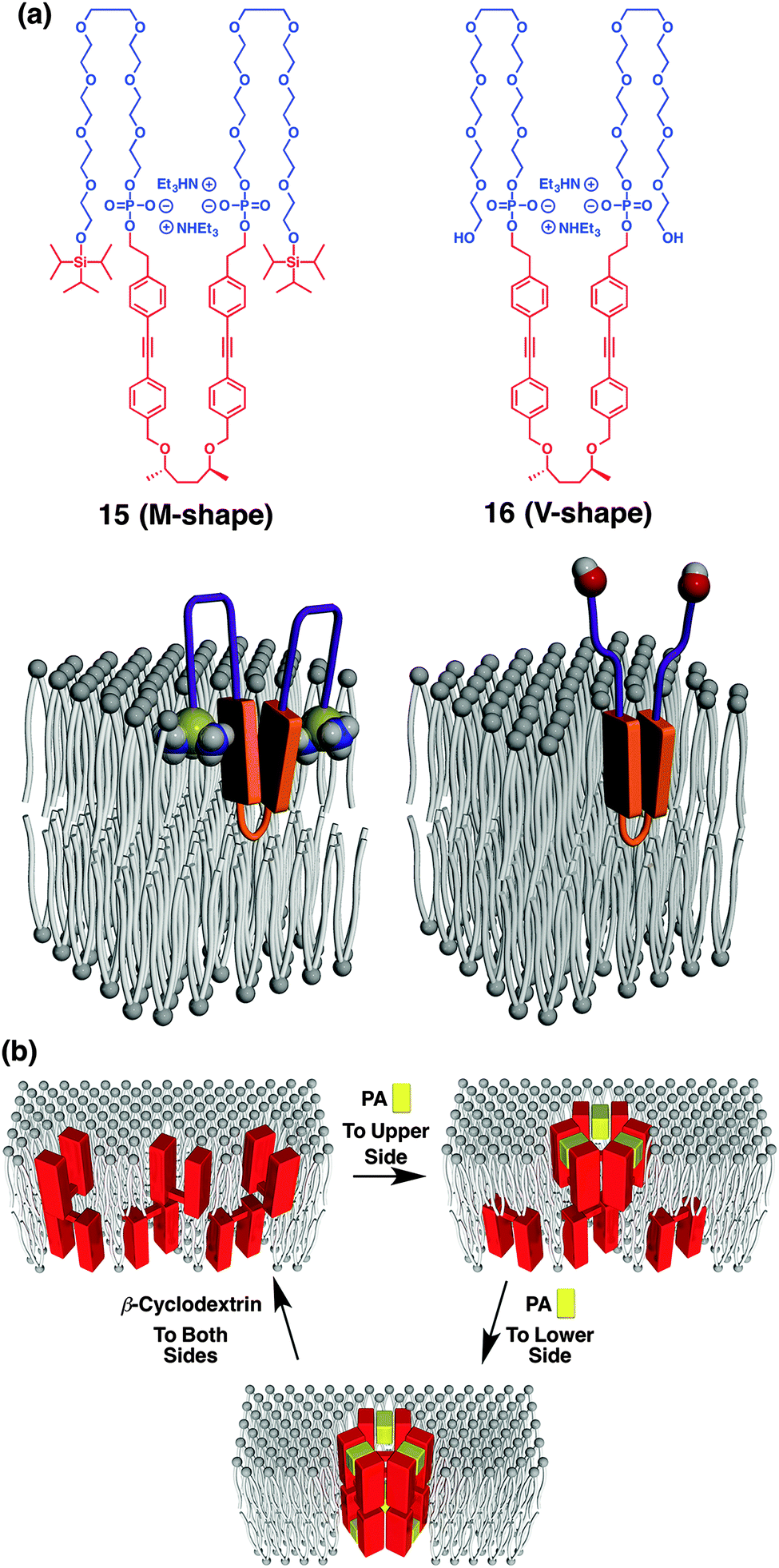 Bioinspired multi-block molecules - Chemical Communications (RSC ...