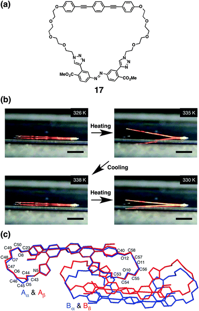 Bioinspired multi-block molecules - Chemical Communications (RSC ...