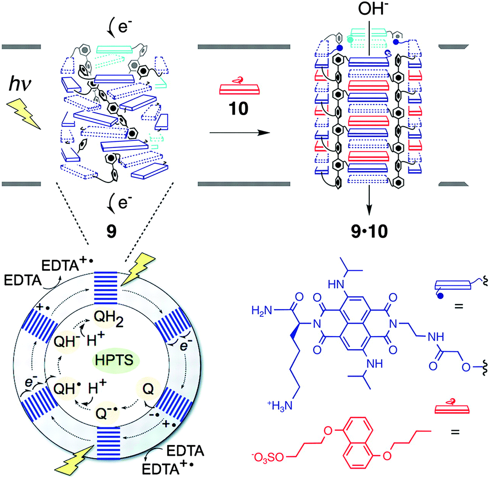 Bioinspired multi-block molecules - Chemical Communications (RSC ...