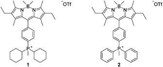 Structurally optimised BODIPY derivatives for imaging of mitochondrial ...