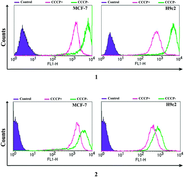 Structurally optimised BODIPY derivatives for imaging of mitochondrial ...