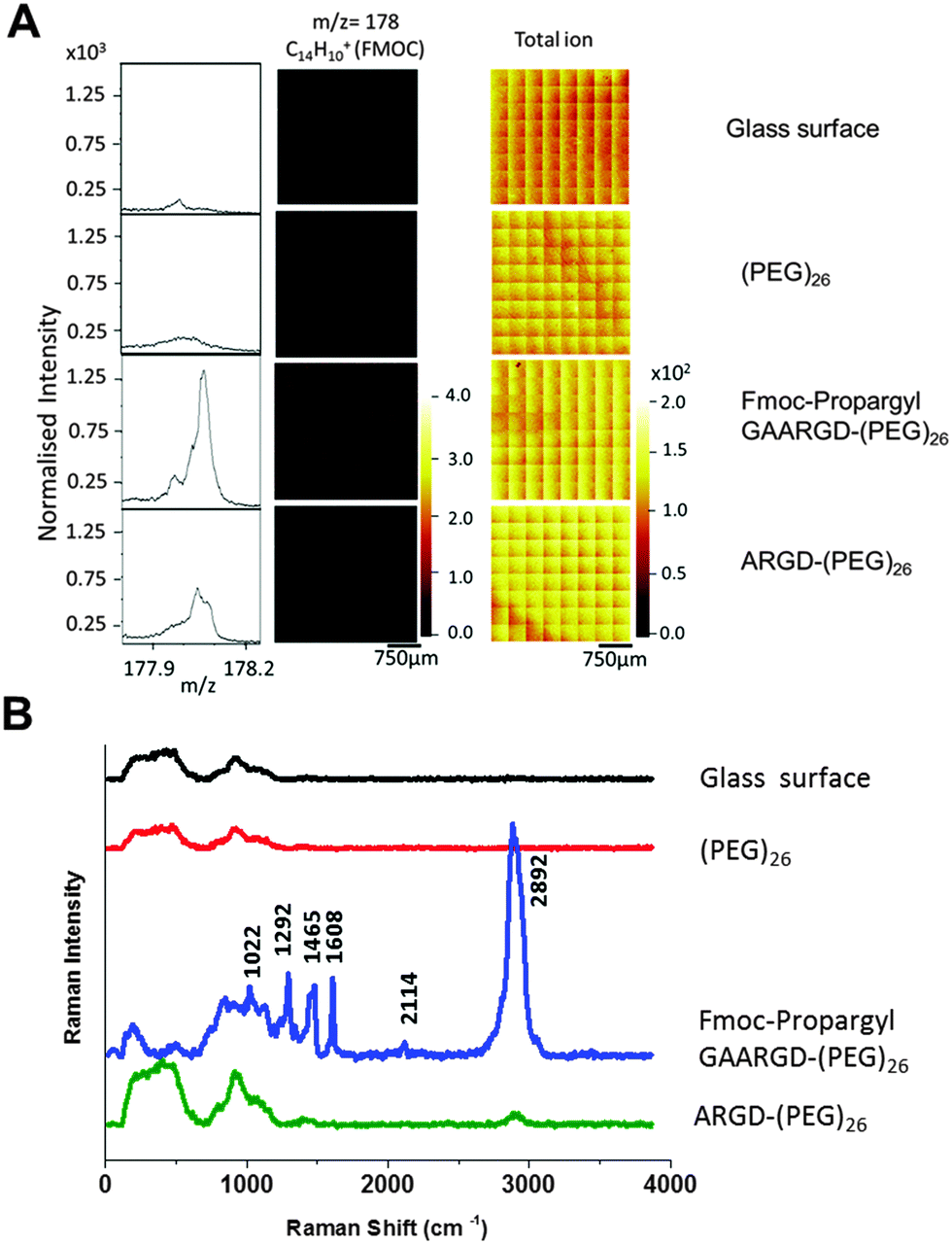 Analysis of enzyme-responsive peptide surfaces by Raman spectroscopy ...