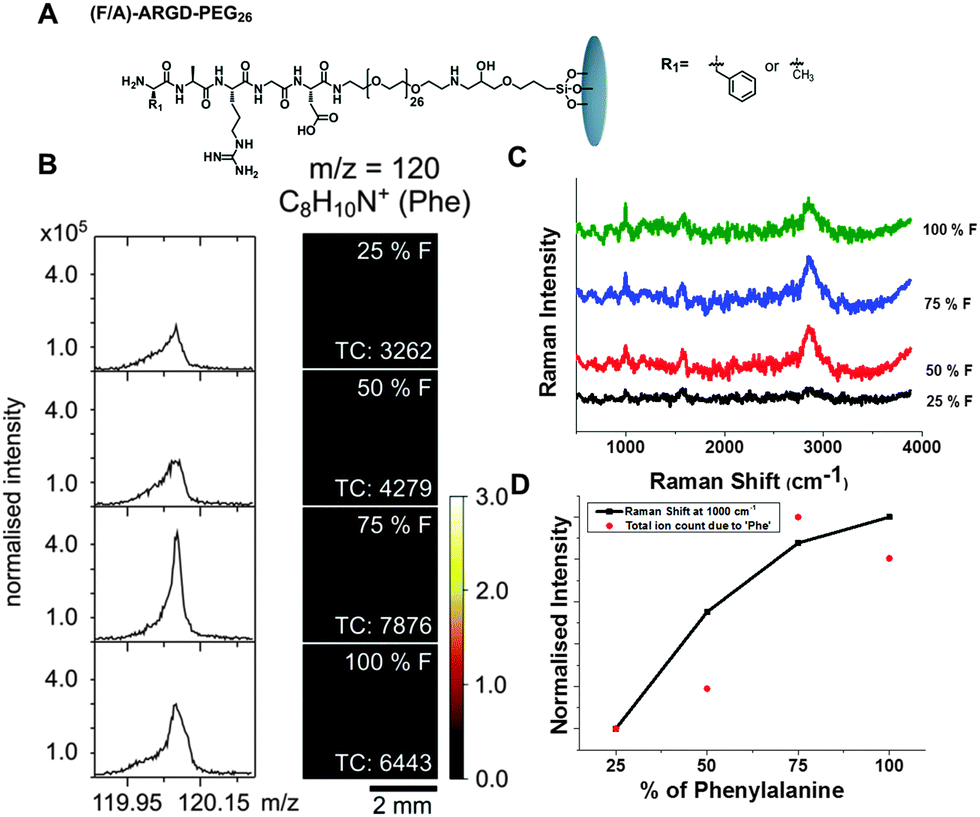 Analysis of enzyme-responsive peptide surfaces by Raman spectroscopy ...
