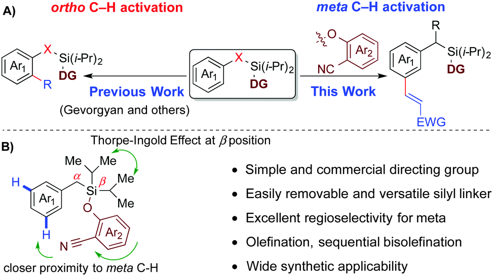 Sequential meta -C–H olefination of synthetically versatile benzyl ...