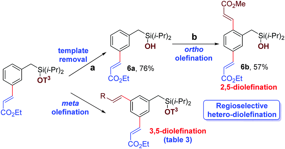 Sequential meta -C–H olefination of synthetically versatile benzyl ...