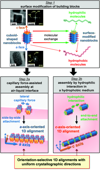 Orientation-selective alignments of nanoblocks in a and c directions of ...