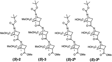 Hydrogen bonding to carbonyl oxygen of nitrogen-pyramidalized amide ...