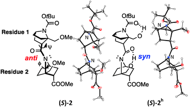 Hydrogen bonding to carbonyl oxygen of nitrogen-pyramidalized amide ...