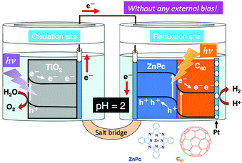 A water splitting system using an organo-photocathode and titanium ...