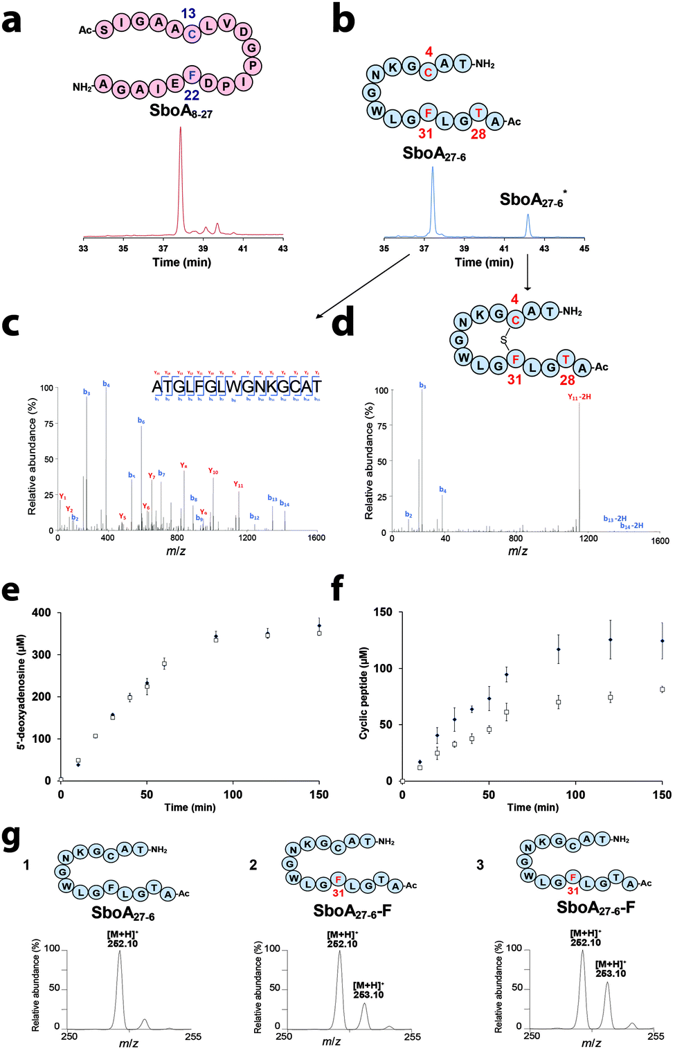 Thioether bond formation by SPASM domain radical SAM enzymes: C α H ...