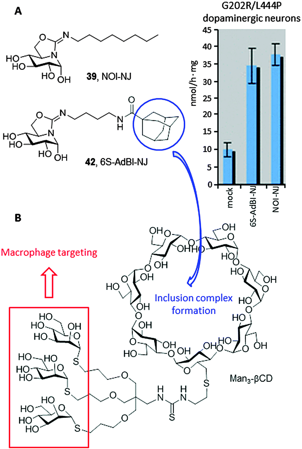 Glycomimetic-based pharmacological chaperones for lysosomal storage ...