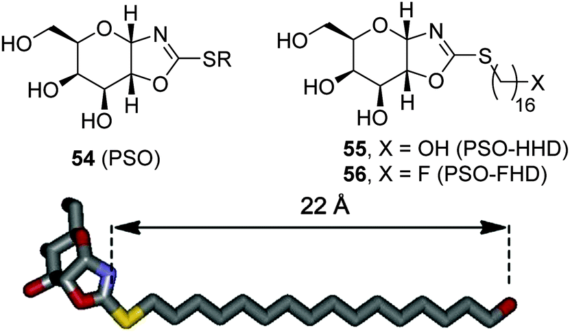 Glycomimetic-based pharmacological chaperones for lysosomal storage ...