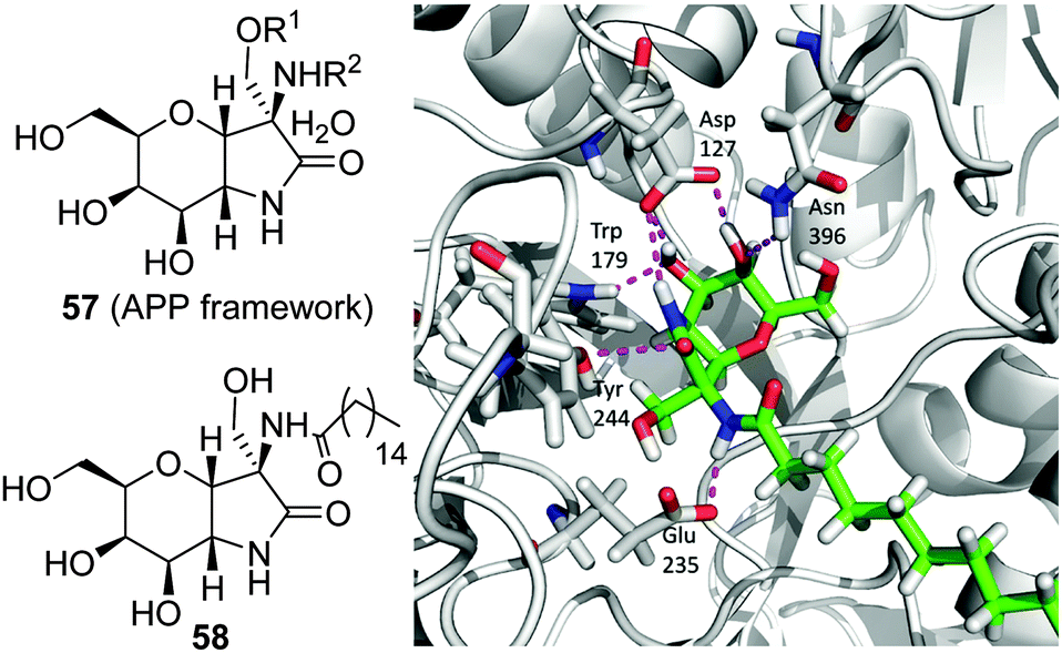 Glycomimetic-based pharmacological chaperones for lysosomal storage ...