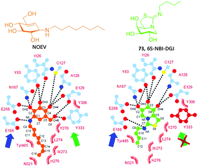 Glycomimetic-based pharmacological chaperones for lysosomal storage ...