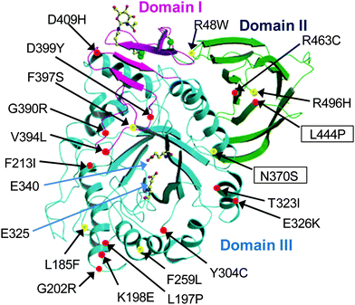 Glycomimetic-based pharmacological chaperones for lysosomal storage ...