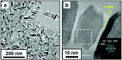 UV-induced epitaxial attachment of TiO 2 nanocrystals in molecularly ...