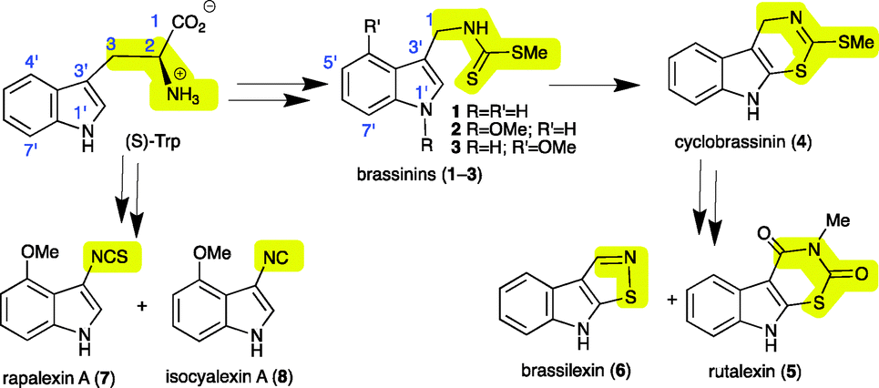 Unveiling the first indole-fused thiazepine: structure, synthesis and ...
