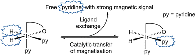 Solvent responsive catalyst improves NMR sensitivity via efficient ...