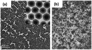 Gold coated magnetic nanoparticles: from preparation to surface ...