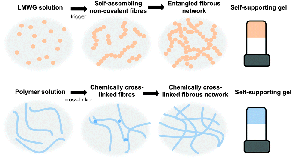 Photoresponsive gelators - Chemical Communications (RSC Publishing) DOI ...