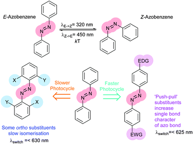 Azobenzene photocontrol of peptides and proteins - Chemical ...