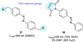 Azobenzene photocontrol of peptides and proteins - Chemical ...