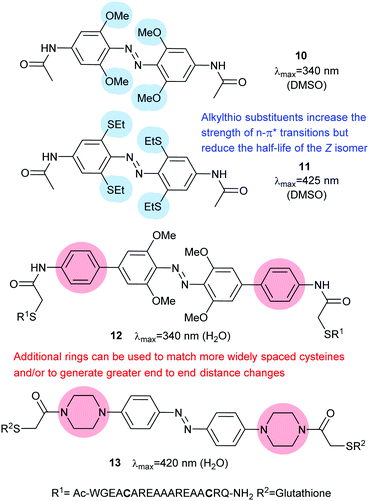 Azobenzene photocontrol of peptides and proteins - Chemical ...