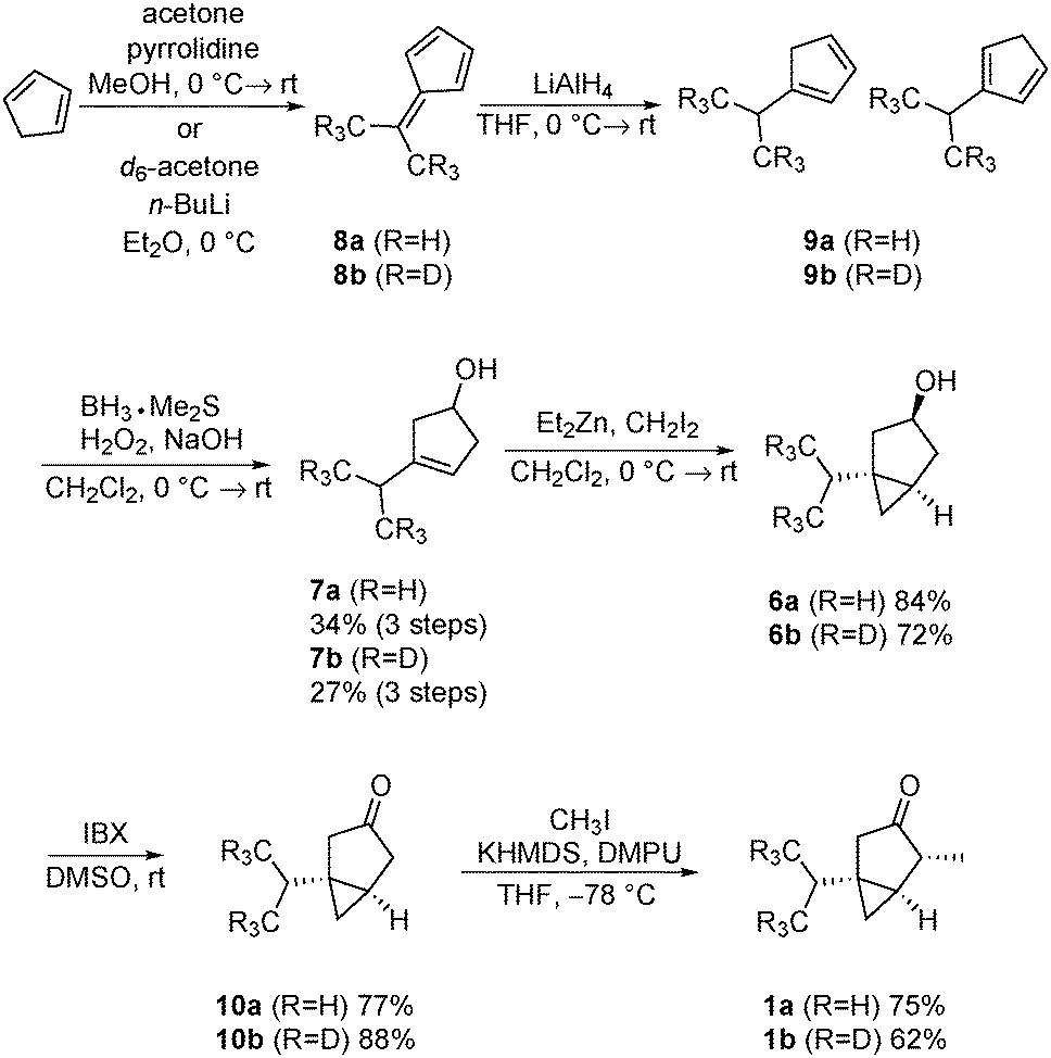 A six-step total synthesis of α-thujone and d 6 -α-thujone, enabling ...