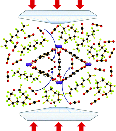 Perfluorocarbon liquid under pressure: a medium for gas delivery ...