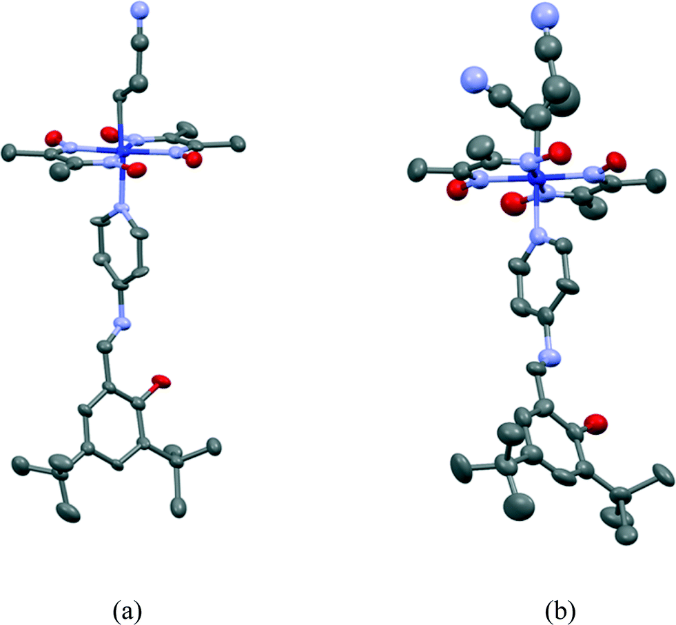Control of the photochromic behavior of cobaloxime complexes with ...