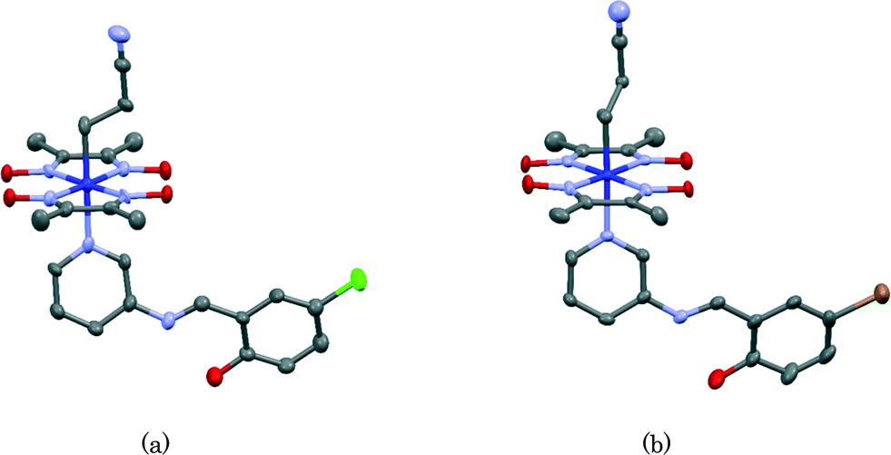 Control of the photochromic behavior of cobaloxime complexes with ...