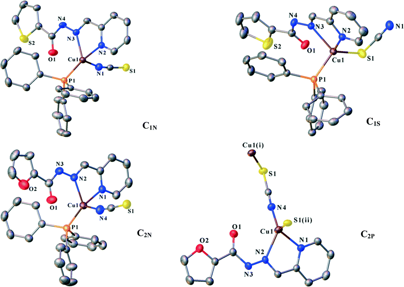 Investigation of structure-directing interactions within copper (i ...