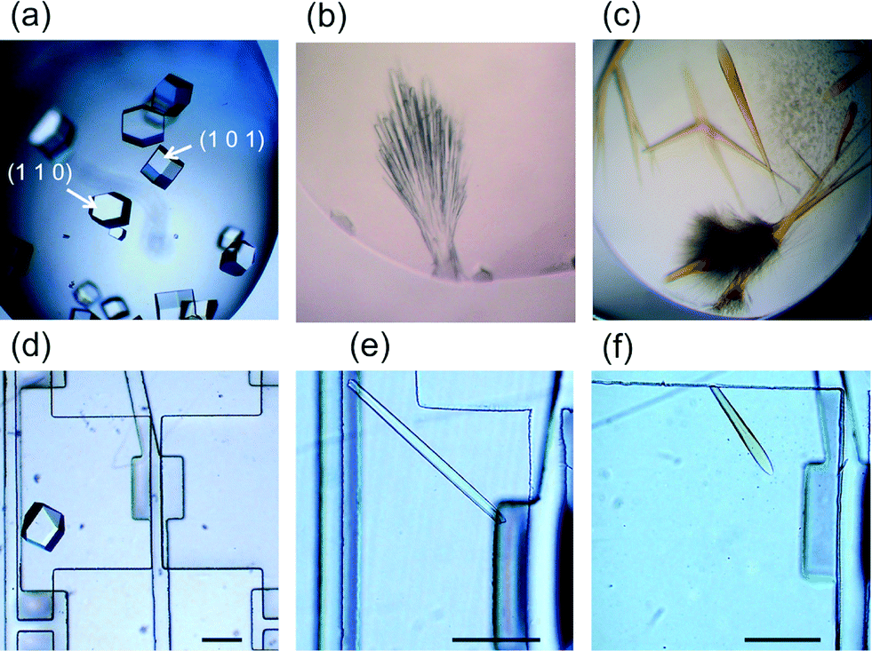 A microfluidic-based protein crystallization method in 10 micrometer ...
