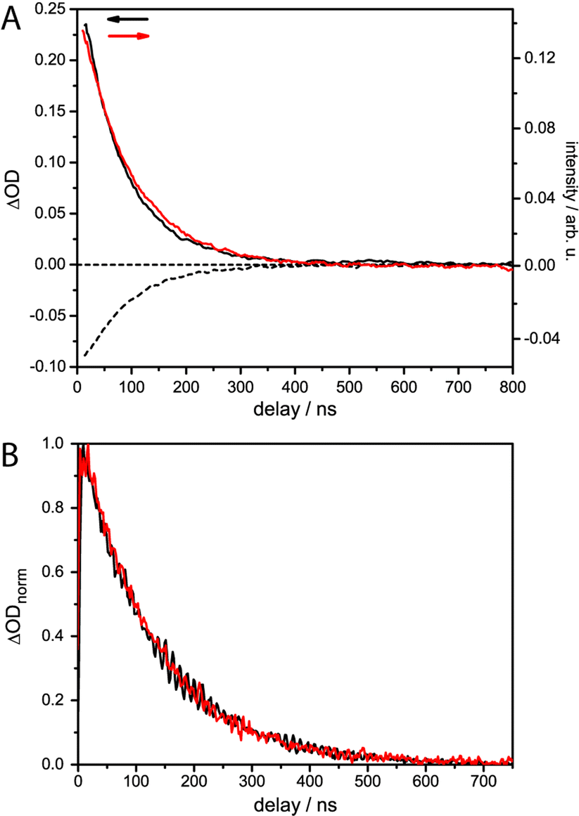 Energy transfer and formation of long-lived 3 MLCT states in ...