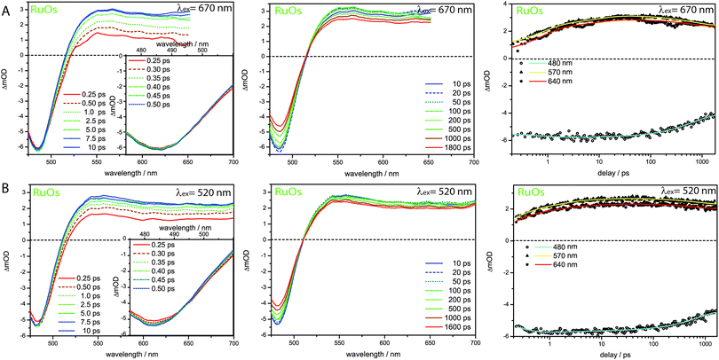 Energy transfer and formation of long-lived 3 MLCT states in ...