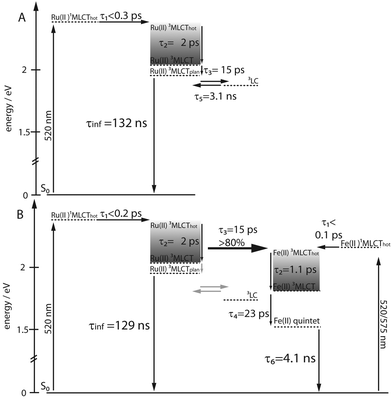 Energy transfer and formation of long-lived 3 MLCT states in ...