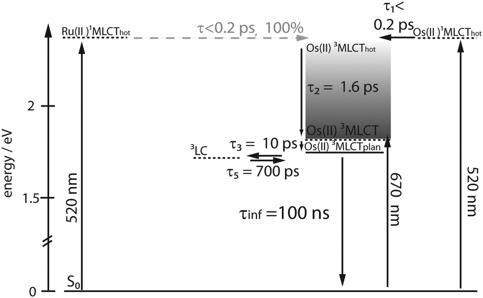 Energy transfer and formation of long-lived 3 MLCT states in ...