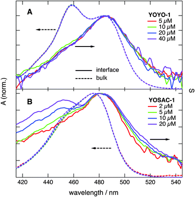 Fluorescent DNA probes at liquid/liquid interfaces studied by surface ...