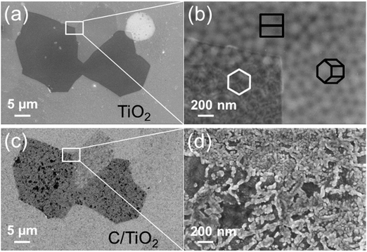 Fabrication of Ti substrate grain dependent C/TiO 2 composites through ...