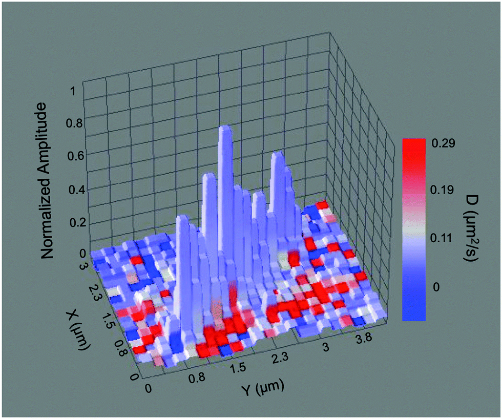Imaging fluorescence correlation spectroscopy studies of dye diffusion ...