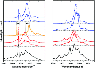 Spectroscopy and dynamics of double proton transfer in formic acid ...