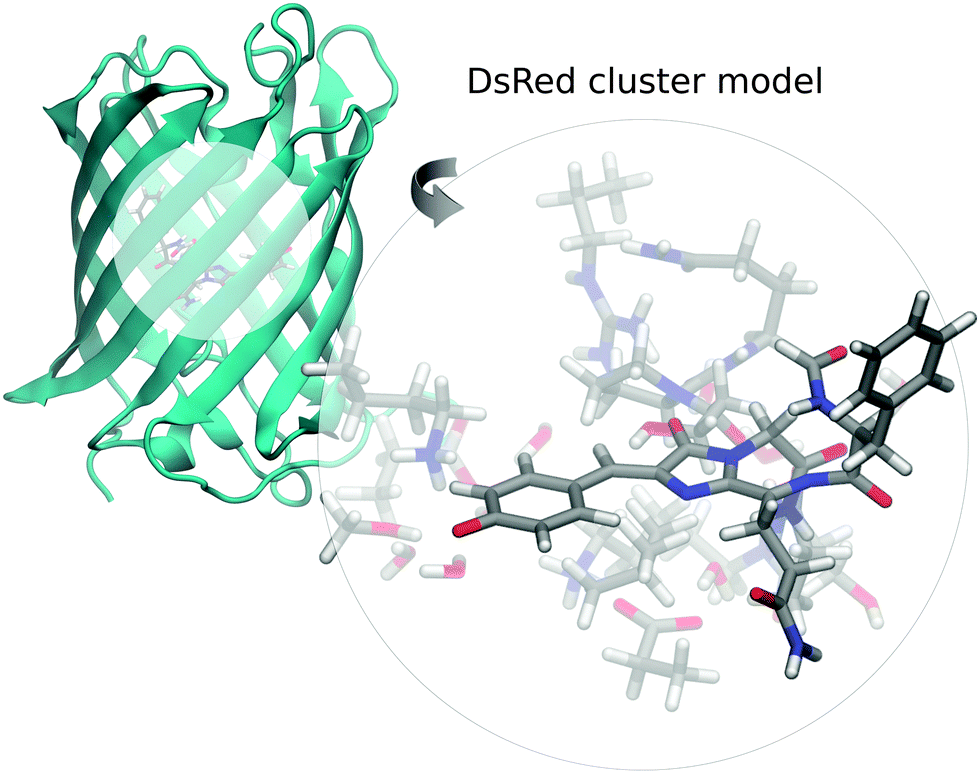 Excited states in large molecular systems through polarizable embedding ...