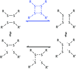 The underlying mechanisms for self-healing of poly(disulfide)s ...