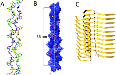 Natural supramolecular protein assemblies - Chemical Society Reviews ...