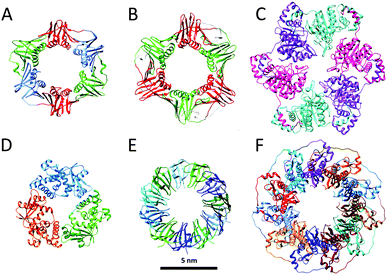 Natural supramolecular protein assemblies - Chemical Society Reviews ...